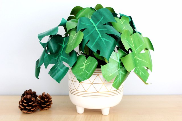 How to Create DIY Paper Plants | ehow