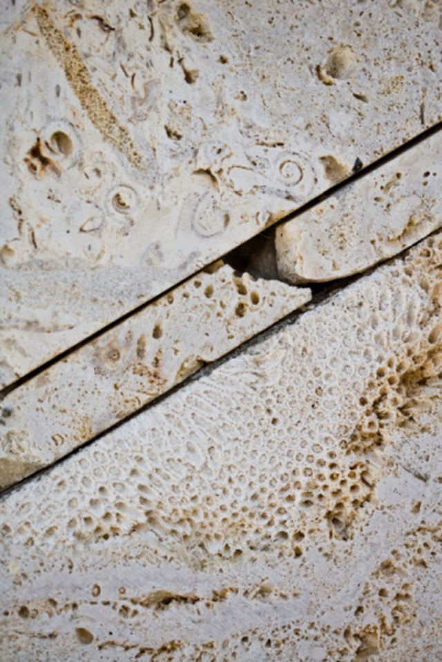 How to Remove Dog Stains From Limestone Floors | ehow